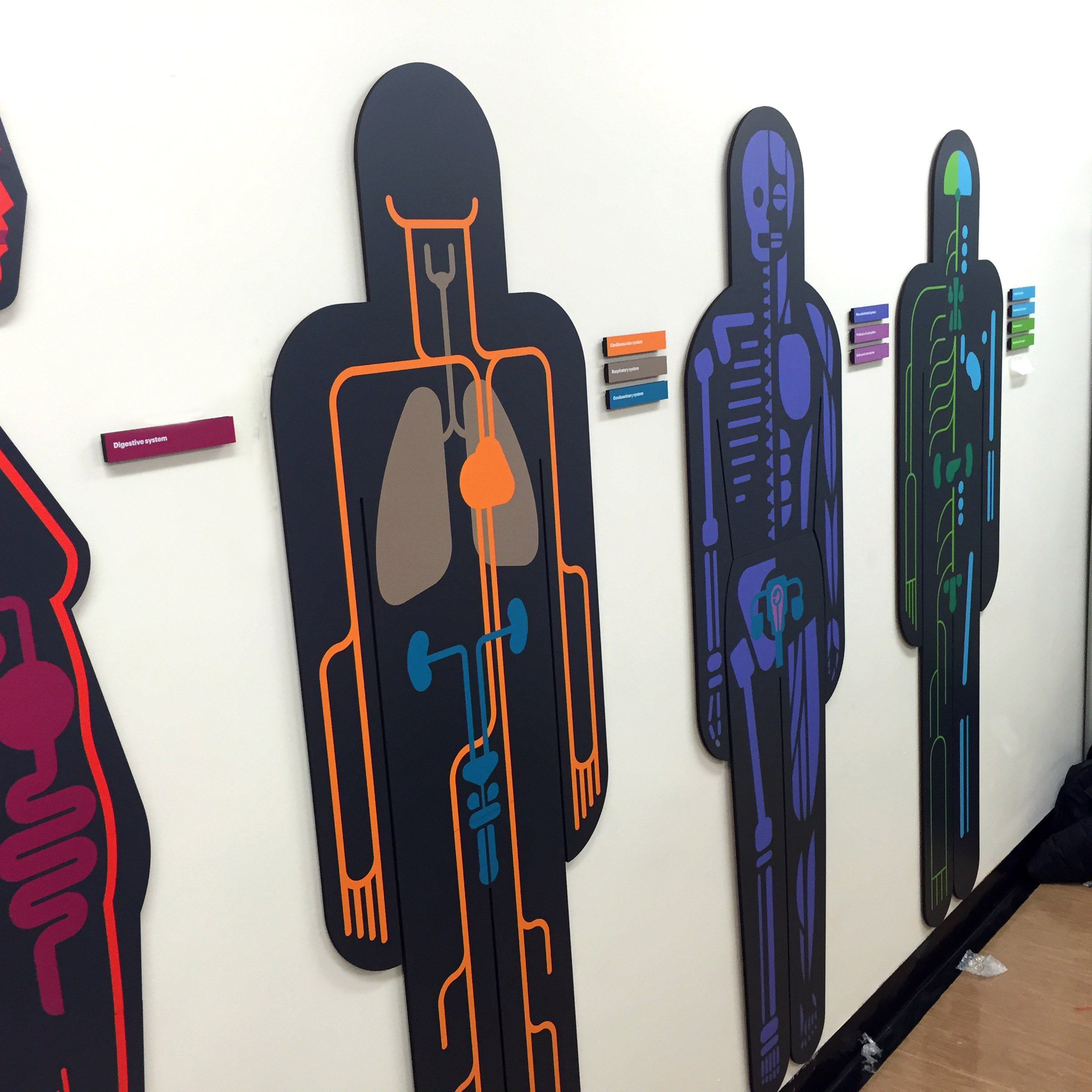 Wall Graphics for Education: Inspiring Learning Spaces
